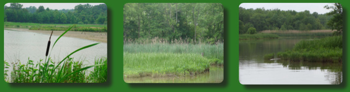 Bird River watershed is focus of June 24 public meeting | News ...
