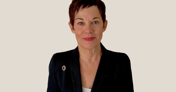 Maryland Volunteer Lawyers Service Hires Nancy Grimm, Esq., as its New ...