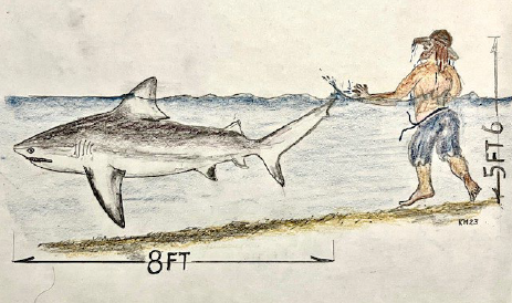 Biologist uncovers evidence of possible 1640 shark attack | Regional ...