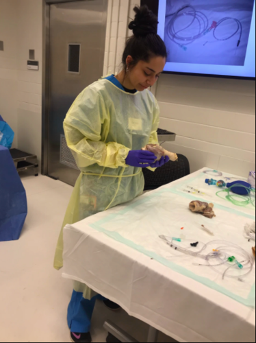 Perry Hall High's Debbie Ramirez named Johns Hopkins 2019-2020 Intern ...