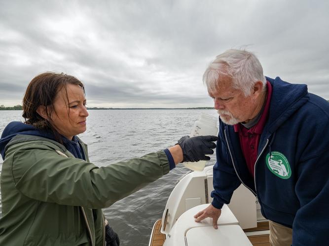 Sample this: Disgruntled residents monitor Back River for pollution ...