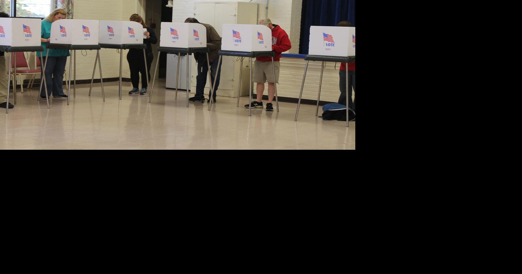 State Senate votes for special elections to fill legislative vacancies ...