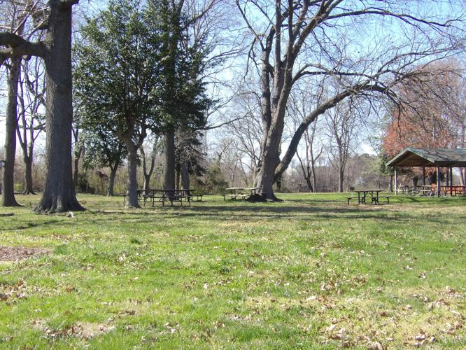 Defenders’ Day Committee facilitates walk-through at Chesterwood Park ...