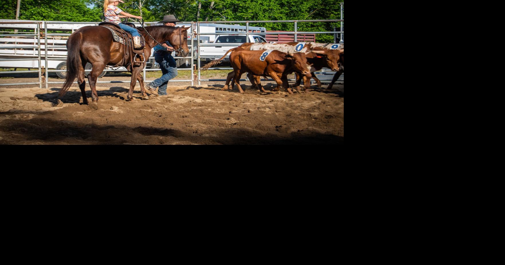 Avery County Ag Arena hosts successful first ACAE Sorting event ...