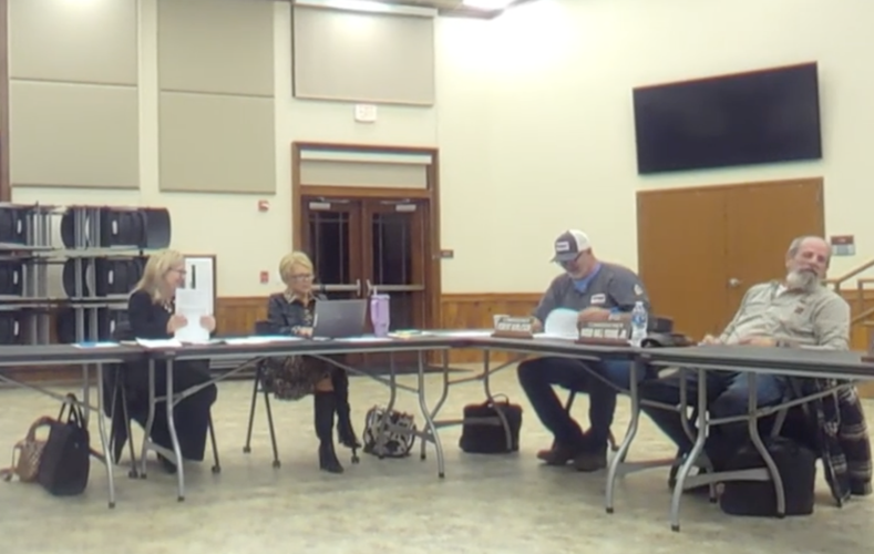 Commissioners celebrate grant awards, approve board appointments ...