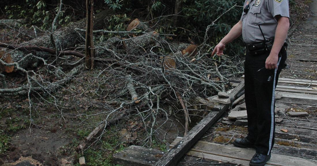 Triplett cause of death determined | News | averyjournal.com