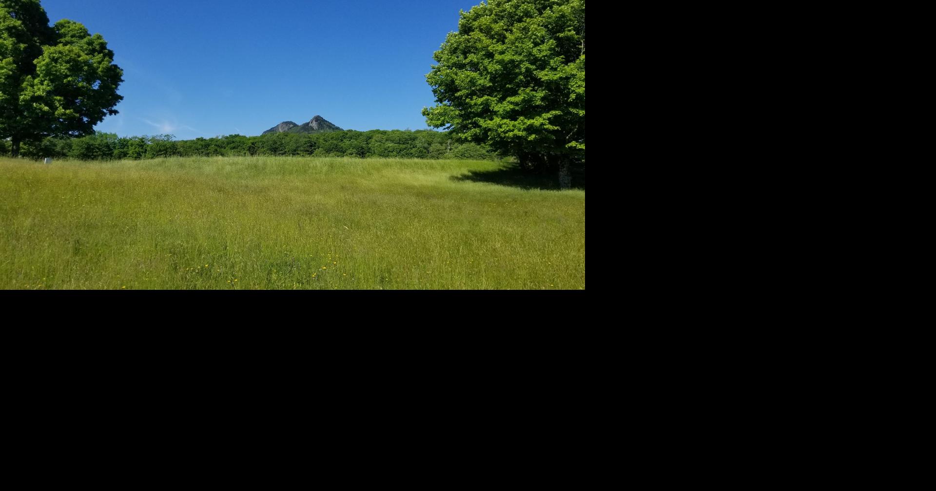 Avery High School to hold drive-in graduation ceremony at MacRae ...