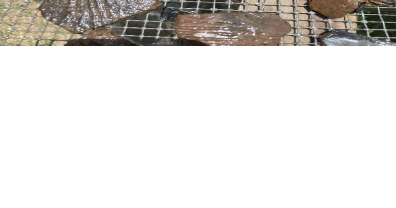 Digging up history | | averyjournal.com