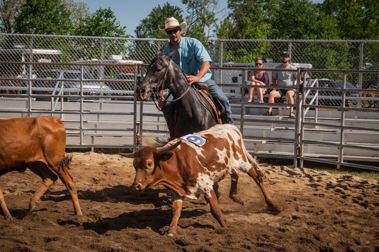 Avery County Ag Arena hosts successful first ACAE Sorting event ...