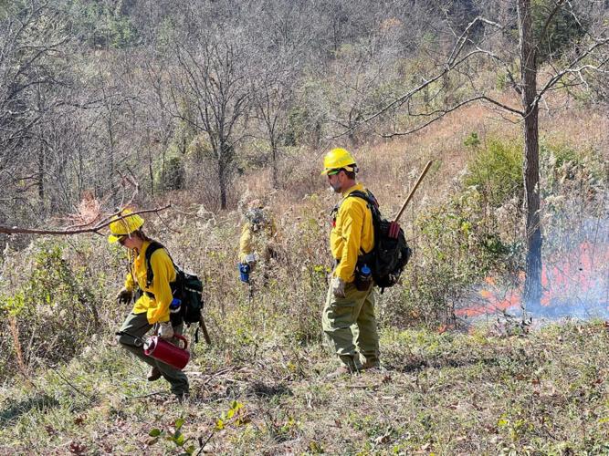 USFS focuses on restoration, reducing wildfire risk in proposed GAP ...