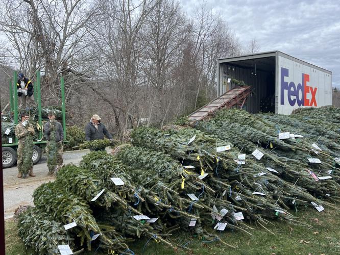 Trees for Troops provides free NC-grown trees to military personnel ...