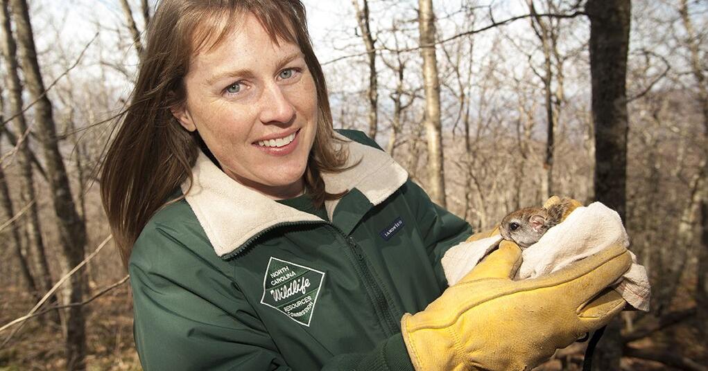 NCWRC: Opportunity to support NC endangered and non-game wildlife this ...