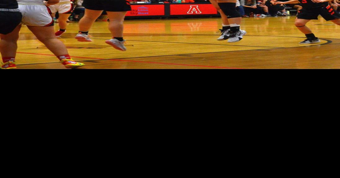 Lady Viking basketball wins playoff opener, falls in second-round at ...