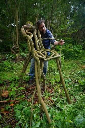 ‘Furniture orchard’ grows trees into chairs | National | averyjournal.com