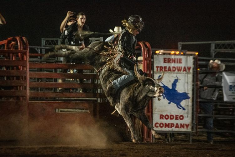 Avery County to host first local rodeo in nearly 20 years | Community ...
