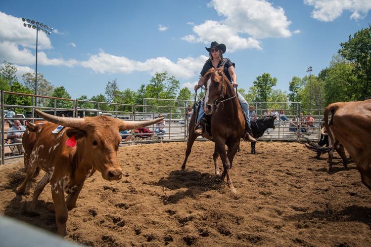 Avery County Ag Arena hosts successful first ACAE Sorting event ...