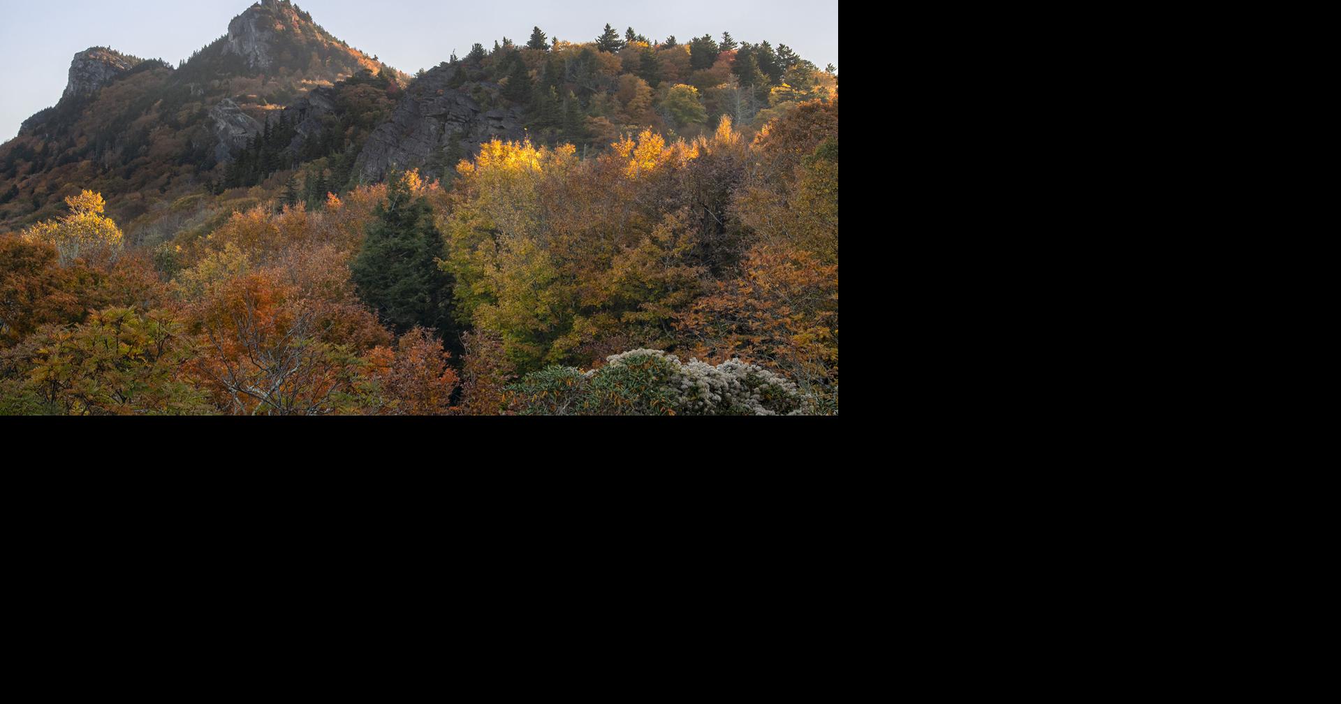 Kaleidoscope of fall color across Grandfather Mountain and High Country ...