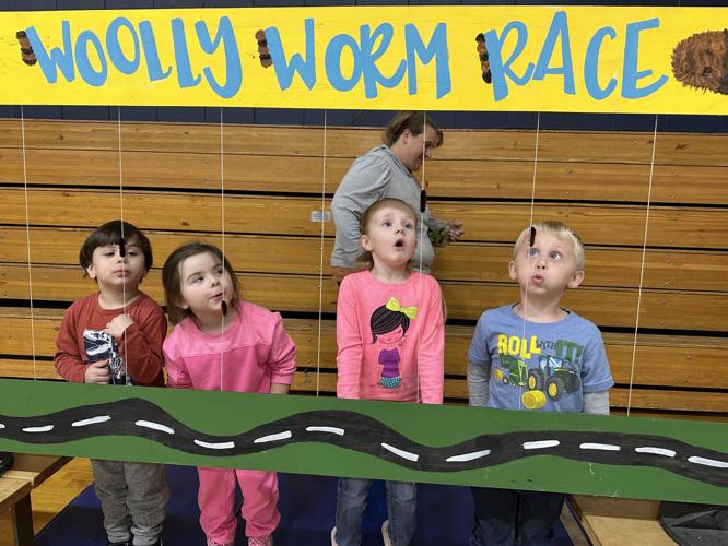 Local schools participate in woolly worm fun | Community | averyjournal.com