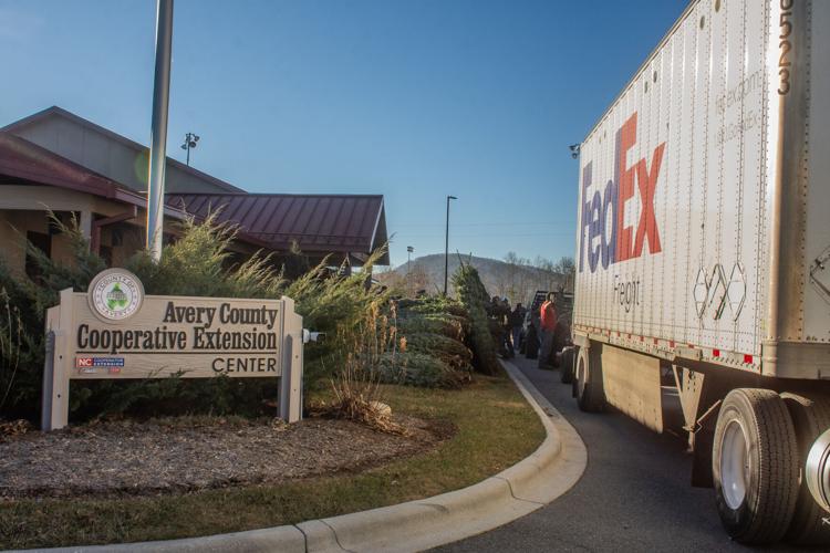 Local Christmas tree growers donate to Trees for Troops | Community ...