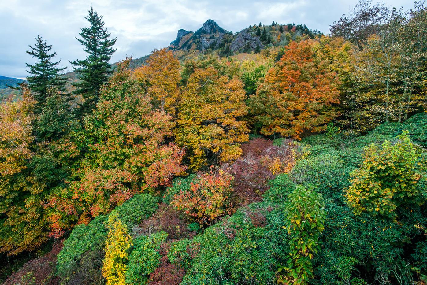 Fall Color Rambles return to Grandfather Mountain | Community ...