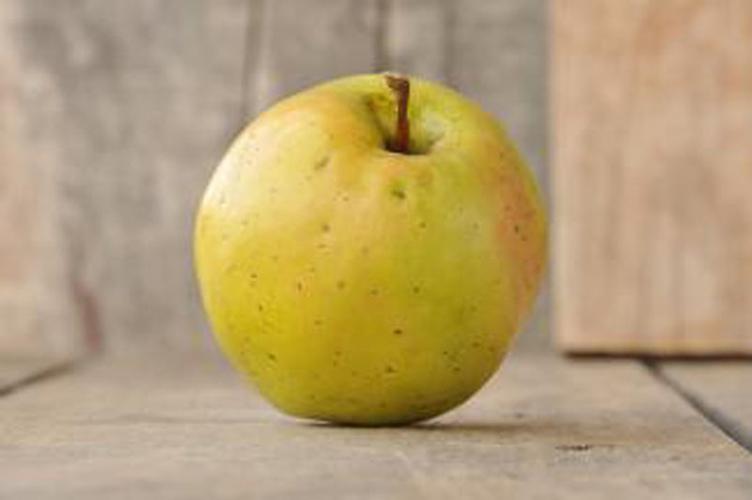 Avery County Cooperative Extension Heirloom Apple spotlight | News ...