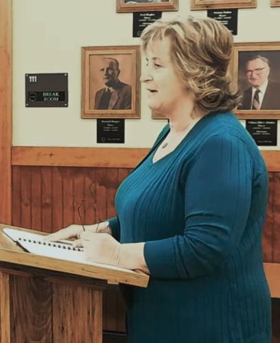 Council hears annual audit report, rescue impact | Government ...