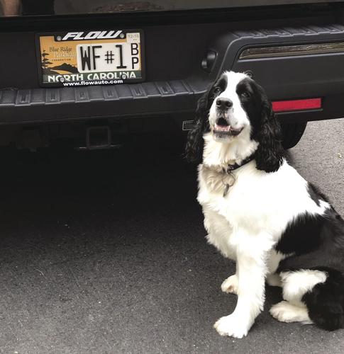 Blue Ridge Parkway specialty license plate sales top $570,000 | News ...