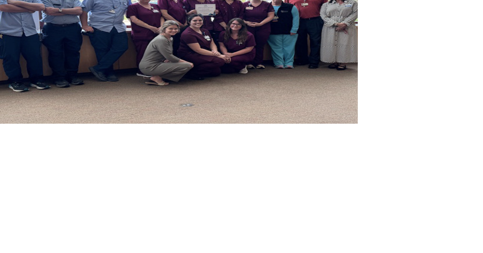 UNC Health Appalachian names first quarter Mountain Mover Award winners ...