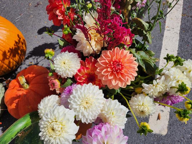 Beech Mountain Farmer's Market closes out for the year | Community ...
