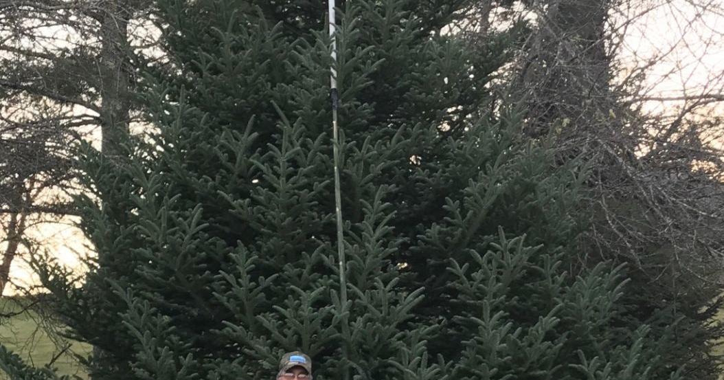 Local farmer's 35-foot tree makes its way to Biltmore | News ...