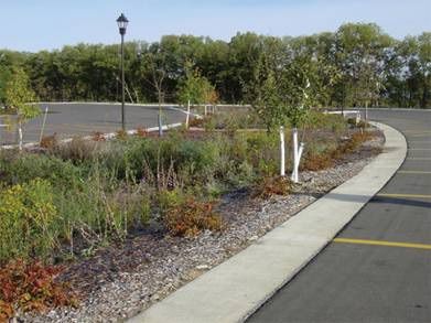 Toe Talk: Stormwater Runoff and Pinebridge Coliseum Campus Renovation ...