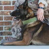 Newland Police Department to begin K9 program in effort to combat drug ...
