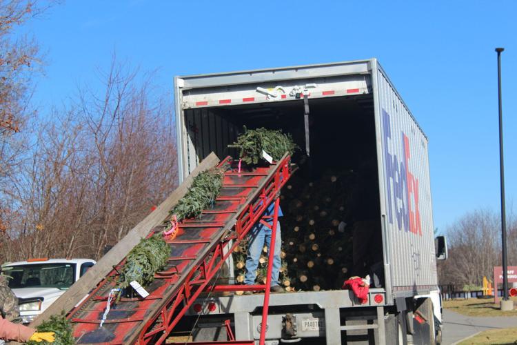 Local farmers donate hundreds of trees to Trees for Troops | Community ...