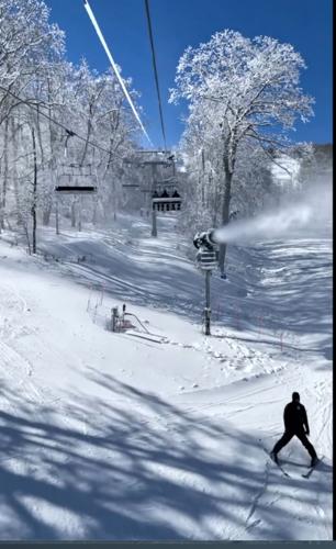 Winter weather packs punch, boosts area resorts | News | averyjournal.com