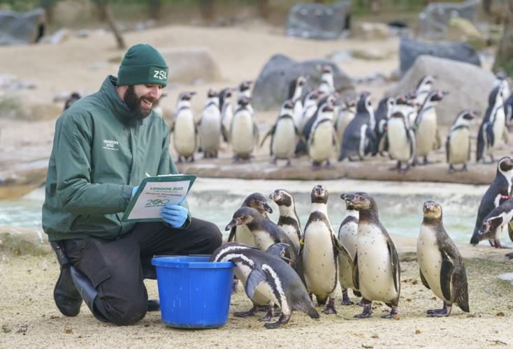 200-year-old zoo conducts annual animal count to start new year ...