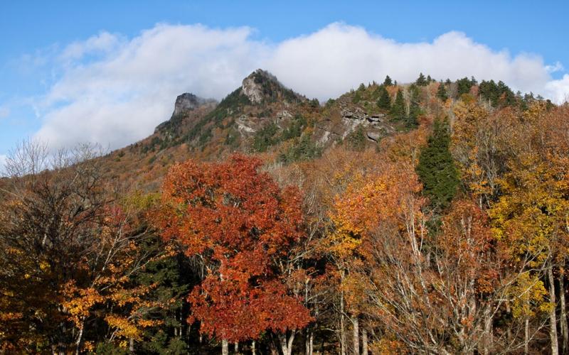 Annual Fall Color Ramble returns to Grandfather Mountain continues ...