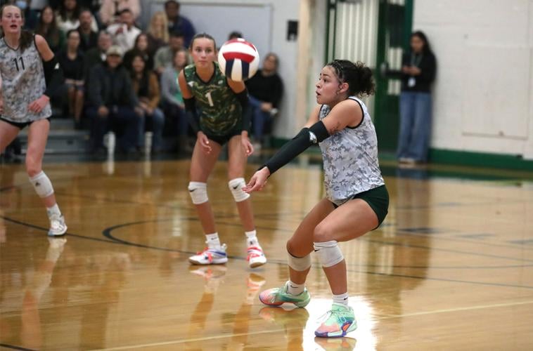 Eagles volleyball stunned by Sabercats in state quarterfinals | Local ...