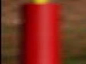 michael pittman biceps