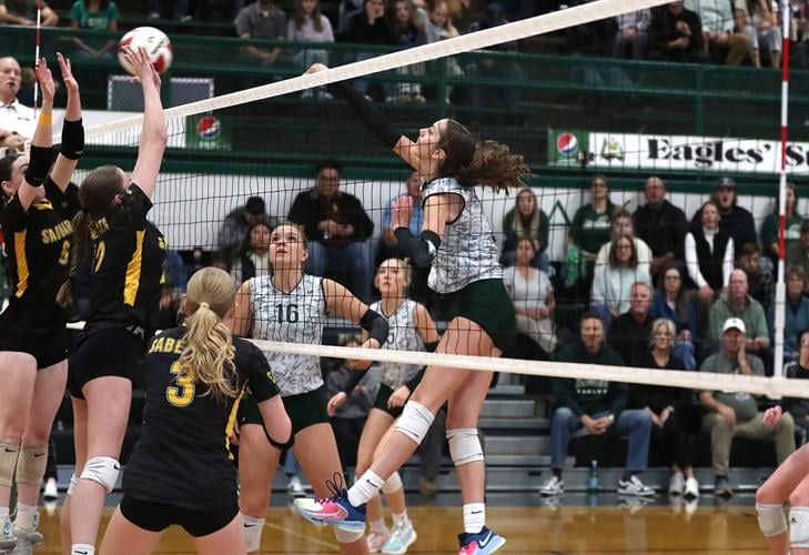 Eagles volleyball stunned by Sabercats in state quarterfinals | Local ...