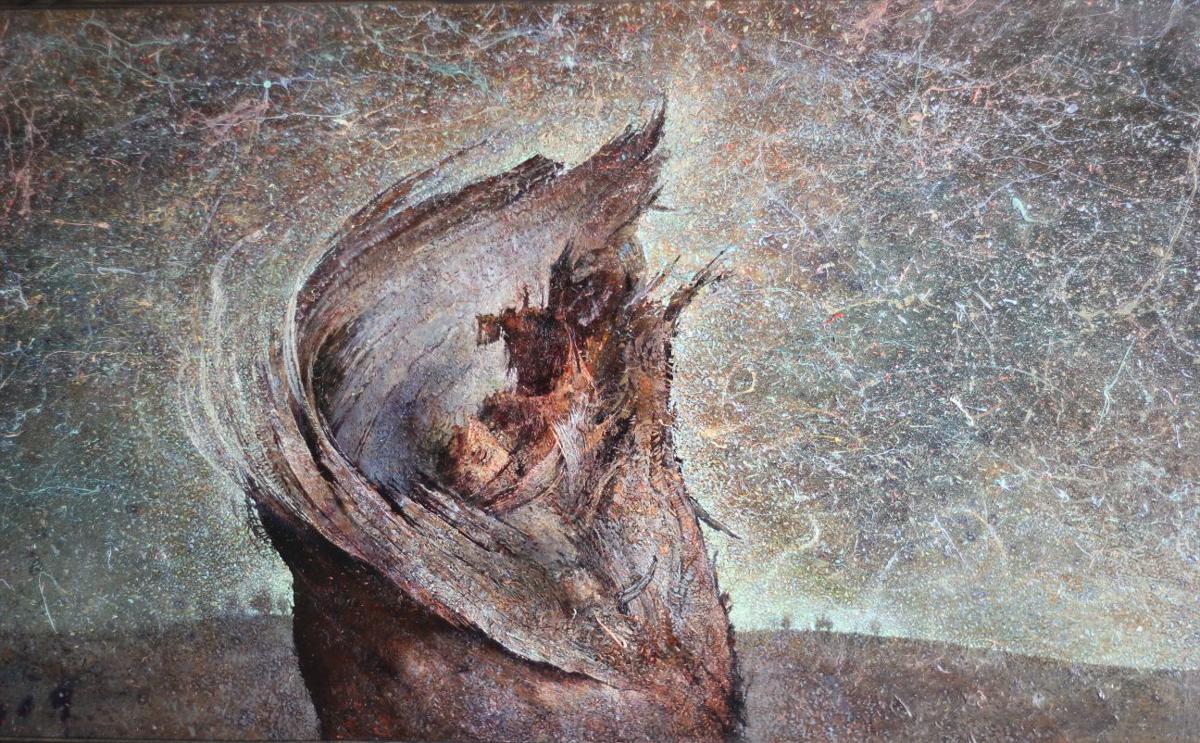 MNA brings sprawling exhibit of artist David Christiana | Arts and ...