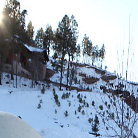 steven jackson winter