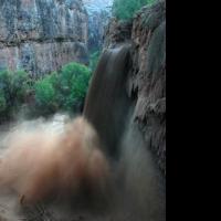 Supai flood evacuees scramble to safety | News | azdailysun.com