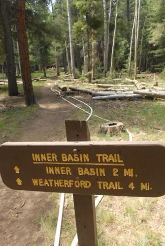 Schultz fire, Day 10 gallery | | azdailysun.com