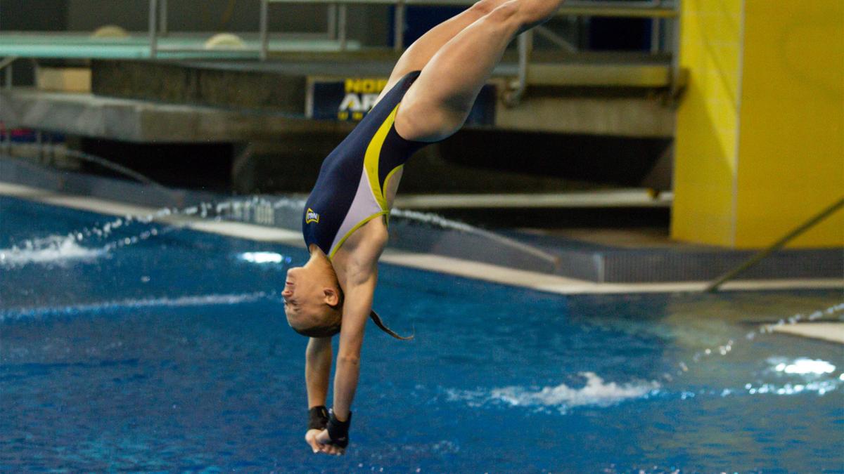 NAU diver Alyssa Jones works her way back to the pool | Local ...