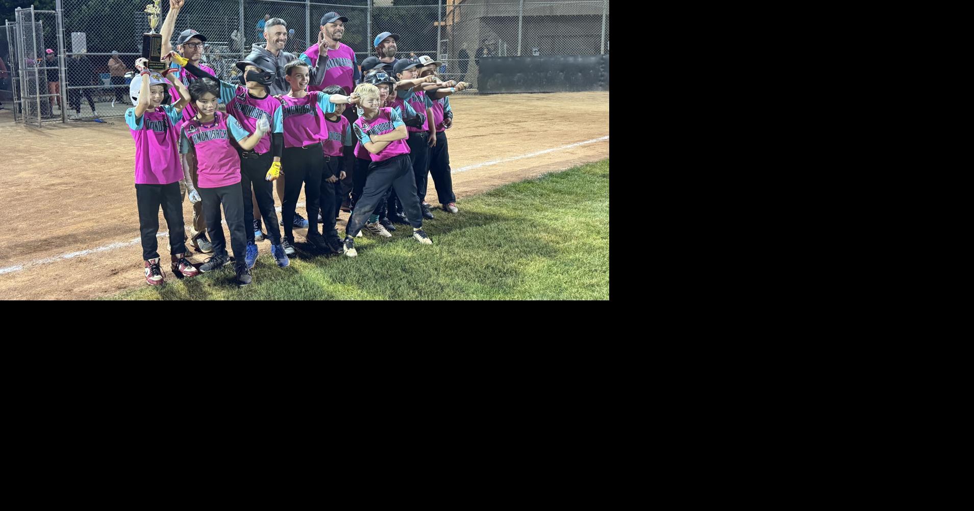 Caird hits championship-winning walk-off as Flagstaff Little League ...