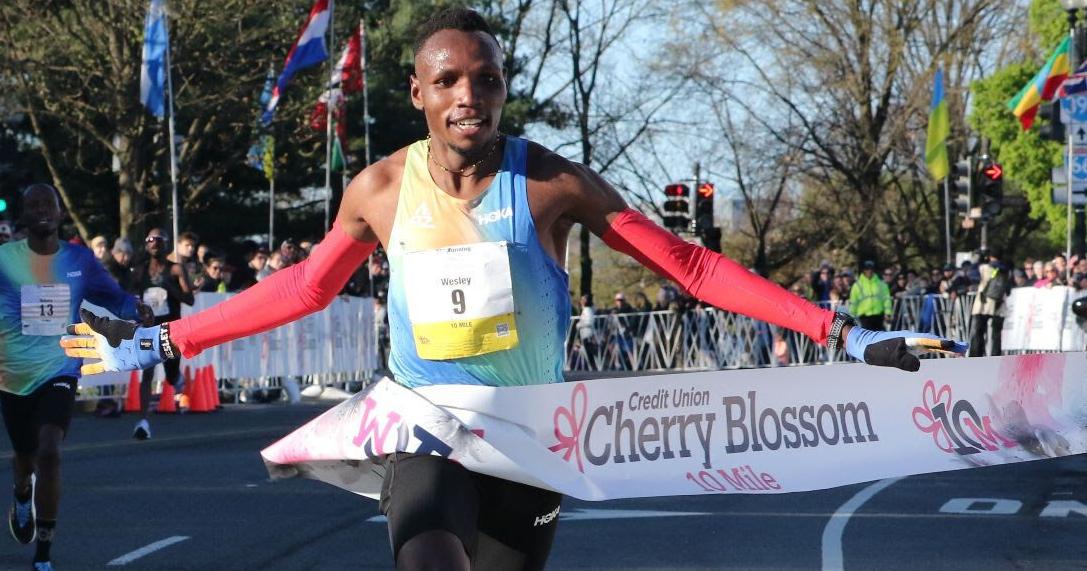 NAZ Elite This Week: Team releases fall slate, marathon lineups | Local ...