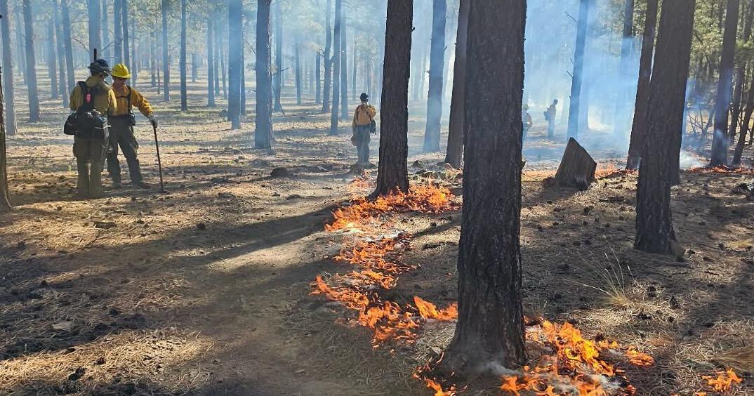 Flagstaff updating Community Wildfire Protection Plan and will seek ...