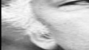 does miyagi die in karate kid 2