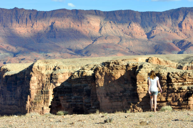 Vermilion Cliffs National Monument | | azdailysun.com