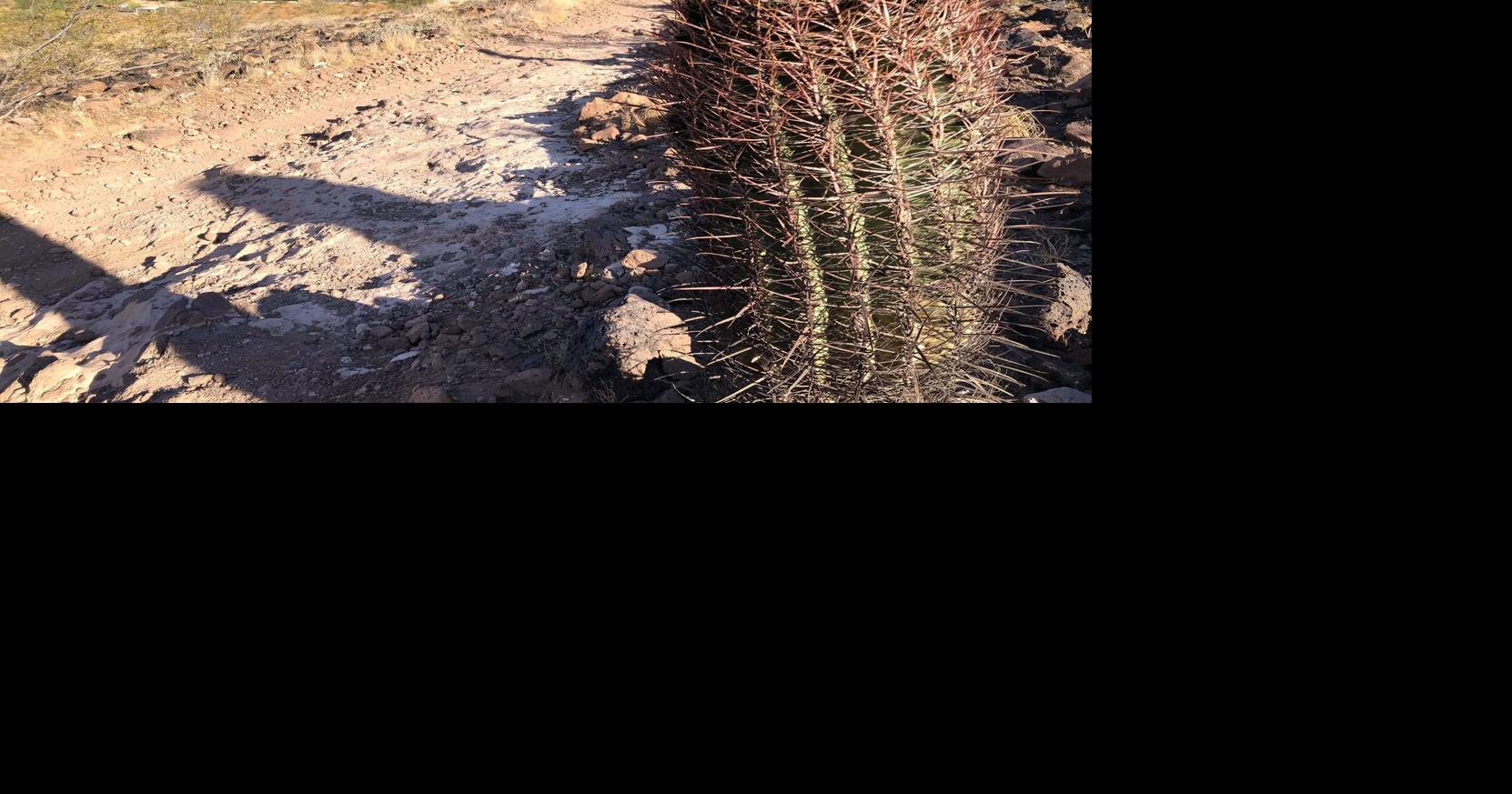Outdoors: Cholla Loop serves as sprawling open space amidst the density ...
